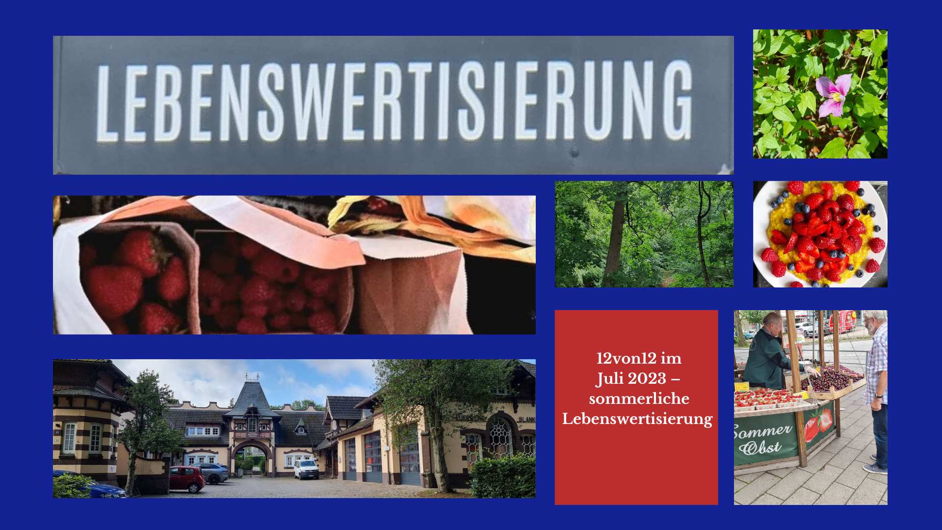 12 Von 12 Im Juli 2023 Lebenswertisierung Silke Geissen